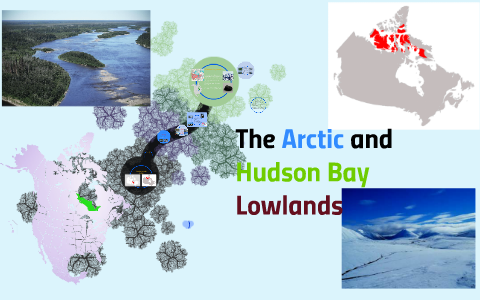 The Arctic and Hudson Bay Lowlands by Adam Gmell on Prezi