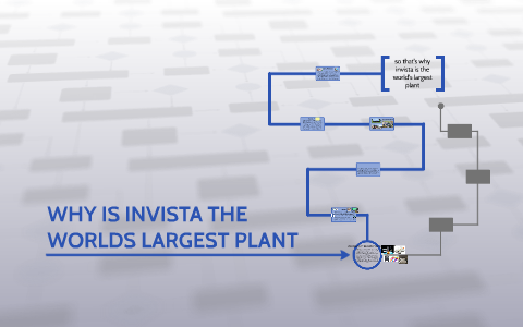 why is invista the worlds largest plant by sophie bedardso on Prezi