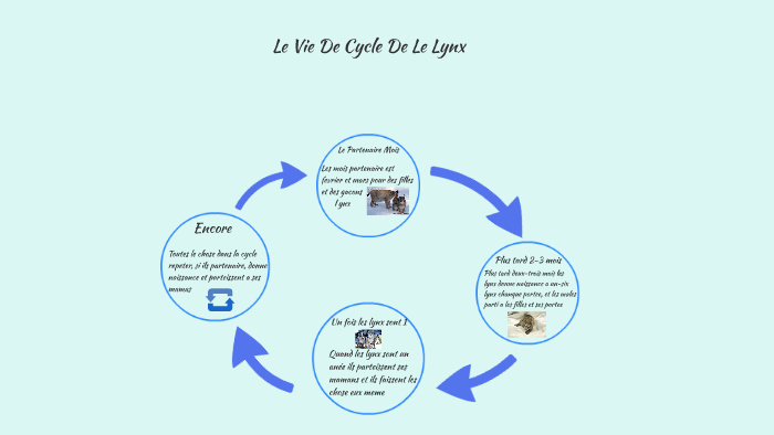 Le Vie De Cycle De Le Lynx by Tayler Lam on Prezi