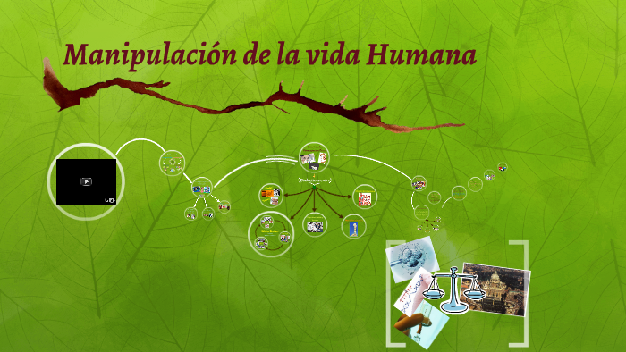 Manipulación de la vida Humana by Sofia Erazo on Prezi