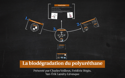 La biodégradation du polyuréthane by Charles Veilleux on Prezi