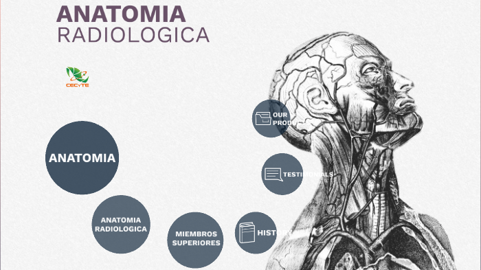 ANATOMIA RADIOLOGICA by Fernando David Moreno Vazquez on Prezi
