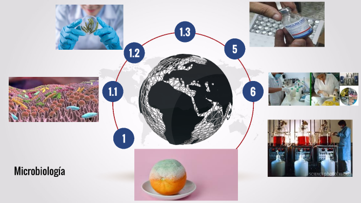 MICROBIÓLOGIA ALIMENTARIA by Ana Talaverano Mesa on Prezi