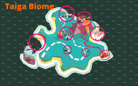 Taiga Biome Project by Austin Logan on Prezi