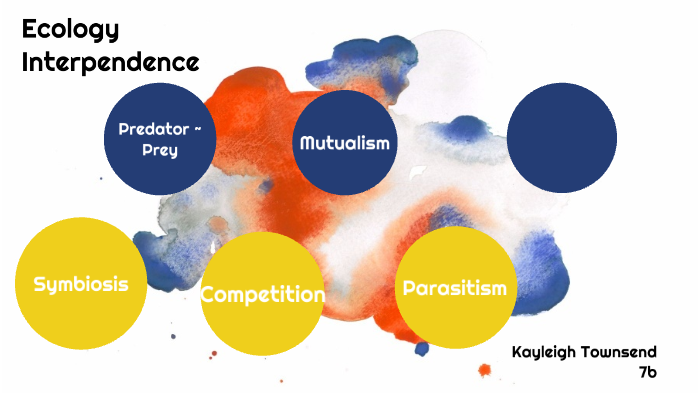 Ecology Interdependence by Kayleigh Townsend on Prezi