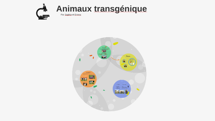 Animaux transgénétique by Emma Brown on Prezi