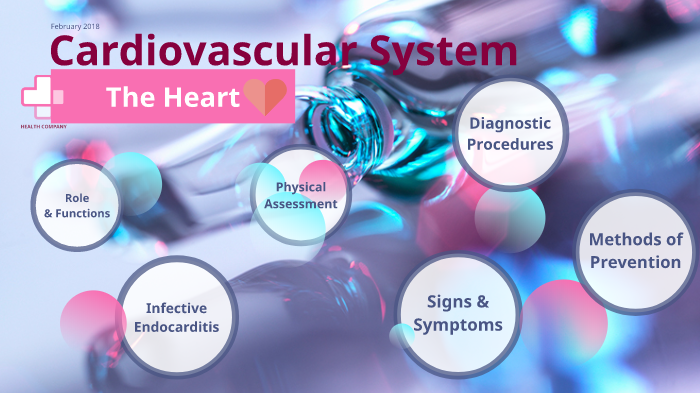Cardiovascular System by Mary Agusti on Prezi