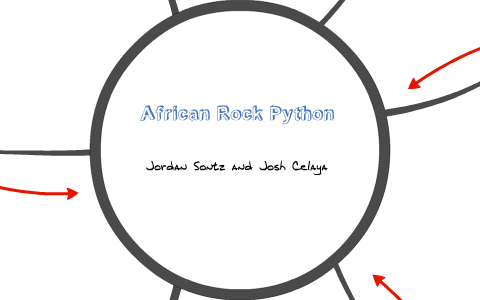 Invasive Species by Jordan Sontz