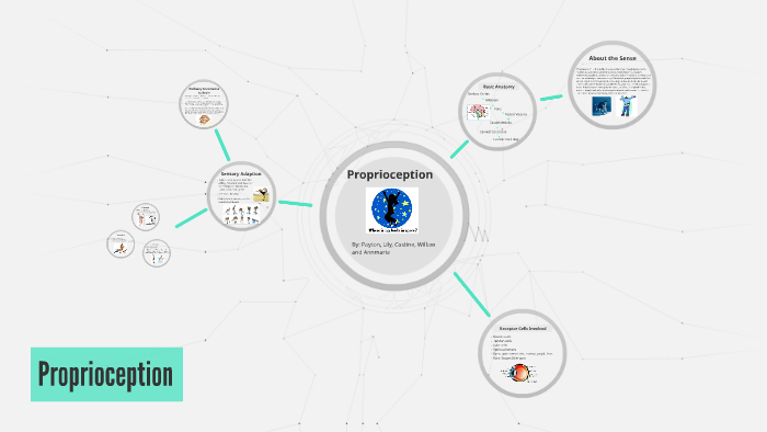 Proprioception by lily fuller