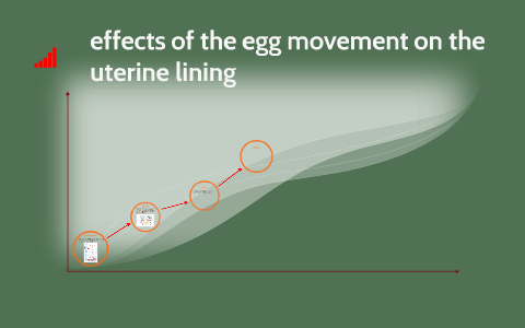 effects of the egg movement on the uterine lining by