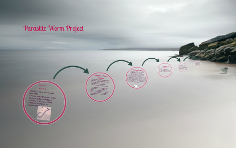 Parasitic Worm Project by Courtney Flint on Prezi