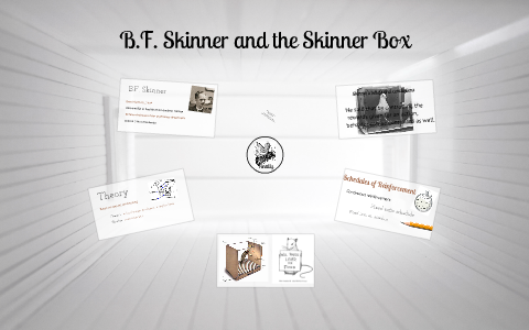 Skinner's Box by Sarah Anderson