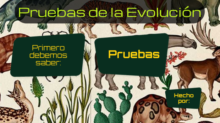 Pruebas de la Evolución by Manuel Rossetto on Prezi