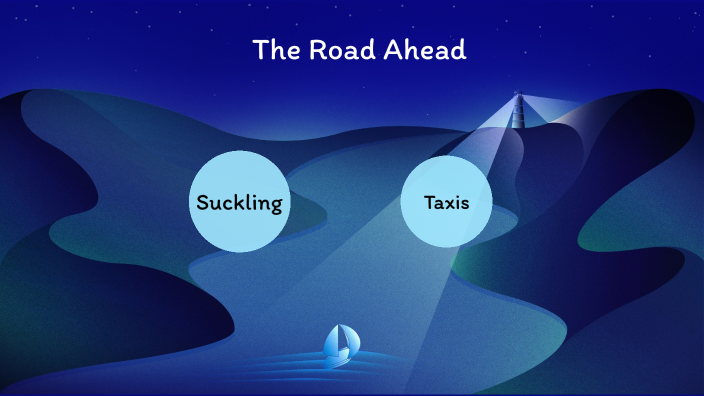 Module eleven lesson two pathway three activity by Shreeya Sanisetty on ...