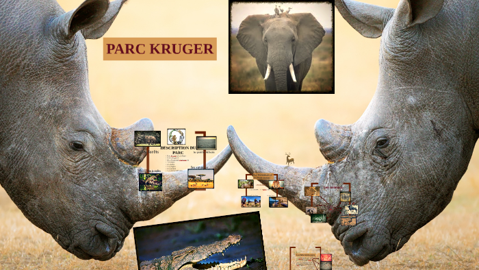 PARC KRUGER by Aiden Roberge on Prezi