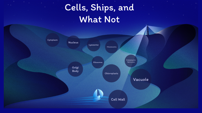Cell Analogy - Cruise Ship by Sean Henderson on Prezi