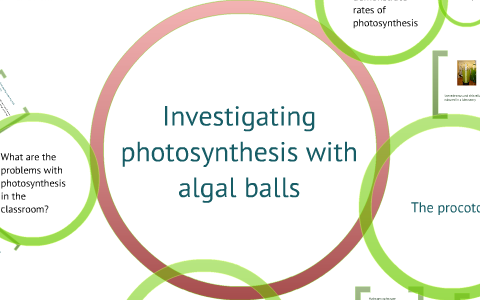 Investigating photosynthesis with algal balls by Science and Plants for ...