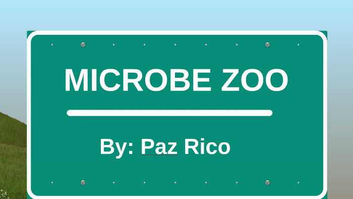 MICROBE ZOO by PAZ RICO