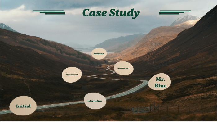 The OT Process Case Study by claire conway on Prezi