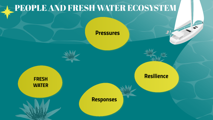 People and fresh water ecosystem by Hương Đỗ Thị Thu on Prezi
