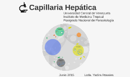 Capillaria Hepática by Yndira Rosales on Prezi