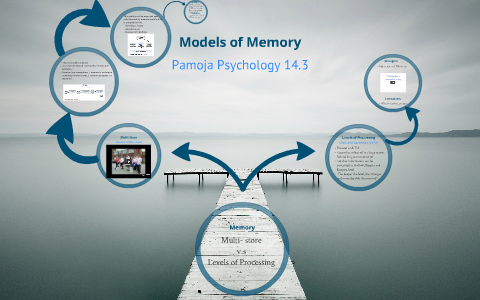 Psychology- Models of Memory by Bailey D