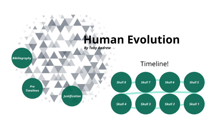Human Evolution by GameMationsYT on Prezi