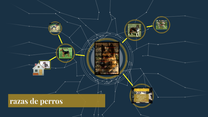 razas de perros by luis Pasato on Prezi