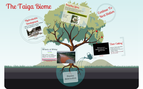 The Taiga Biome: Human Interaction by Thomas Zombek on Prezi