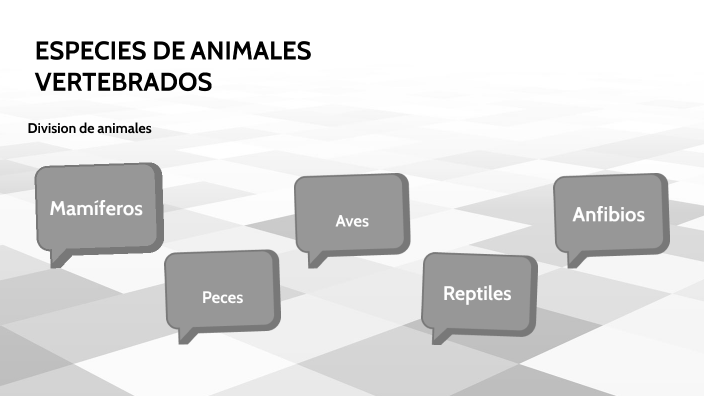 ESPECIES DE ANIMALES by SERGIO ALBOR AVENDANO on Prezi