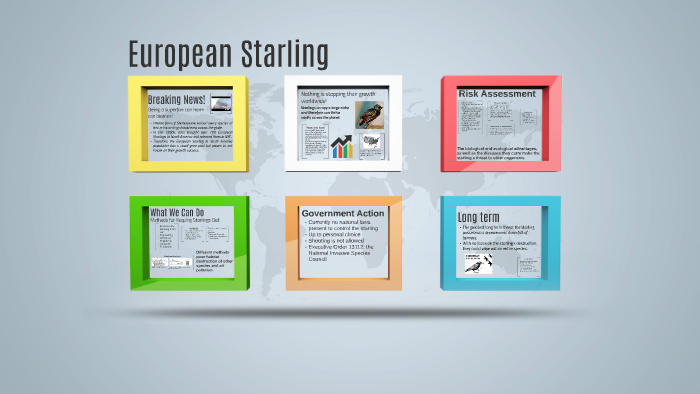 European Starling Invasion by Kaitlin Bassi on Prezi
