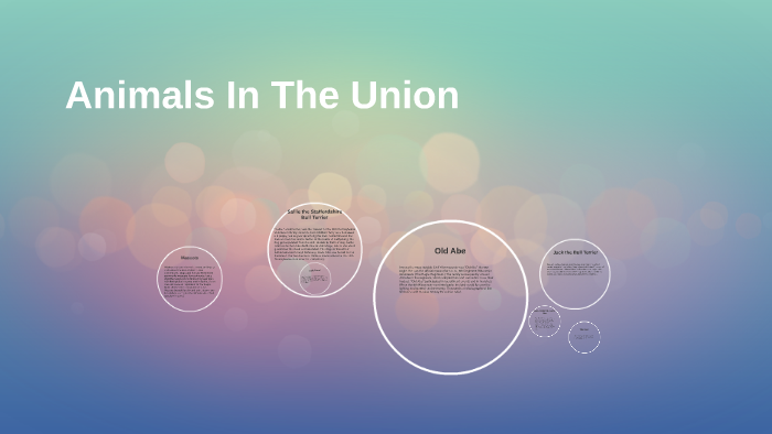 Animals In The Union by Nina Cuccarese on Prezi