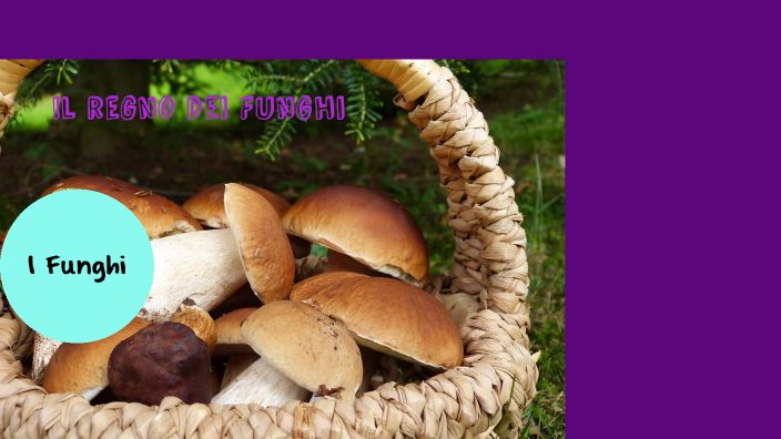 Il regno dei Funghi by Clara Genovese on Prezi