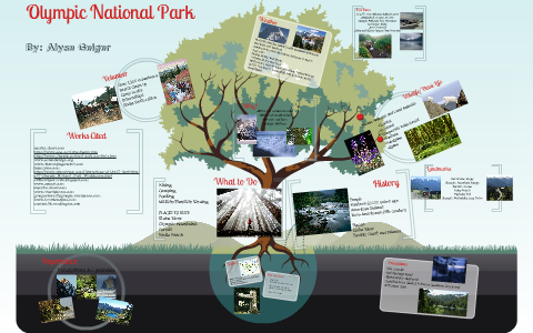 Olympic National Park by Alyse Geiger on Prezi