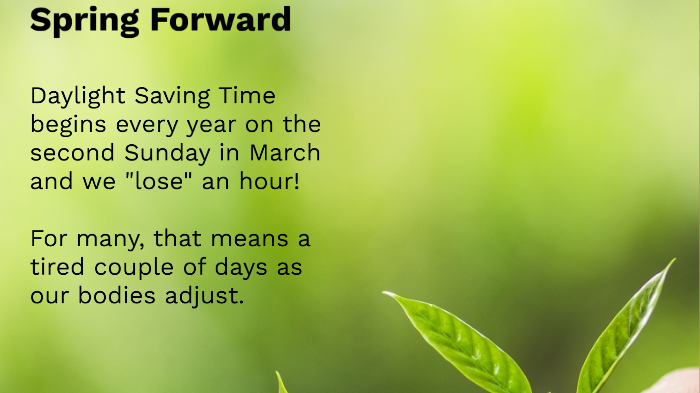 Spring Forward Safety Checklist by Rouya Rasoulzadeh on Prezi