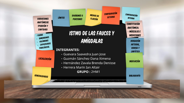 Istmo de las Fauces y Amígdalas by Guzmán Sánchez Dana Ximena on Prezi