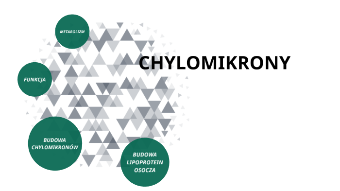 BUDOWA I METABOLIZM CHYLOMIKRONÓW by Anna Maria on Prezi