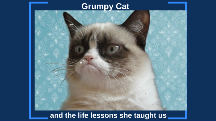 Grumpy Cat by Kelsie Slaugh on Prezi
