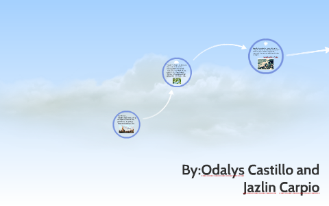 Freshwater wetlands biome by Odalys Castillo on Prezi