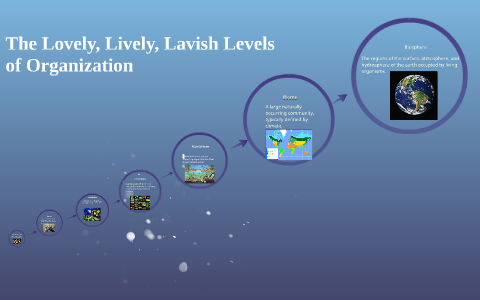Levels of Organization by Lauren Economy on Prezi