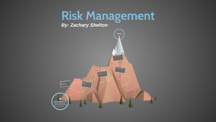 Risk Management by shel zack on Prezi