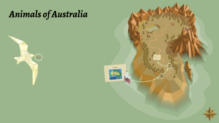 Animals of Australia by David Rotaru