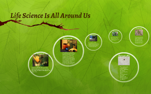 Life Science Is All Around Us by gingy peenner on Prezi