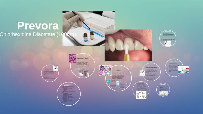 Prevora by Lily Koloshuk on Prezi