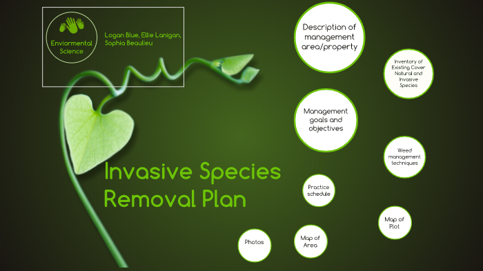 Invasive Plant Species Management Plan by Logan Blue on Prezi