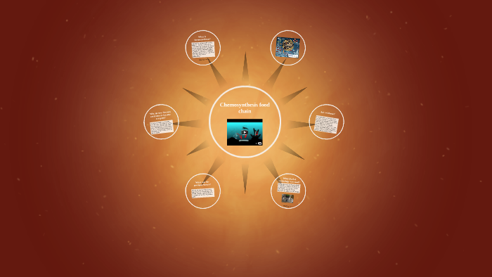 Chemosynthesis food chain by Marcin Chomicki on Prezi