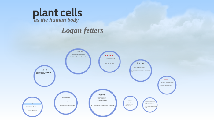 plant cells by logan fetters on Prezi