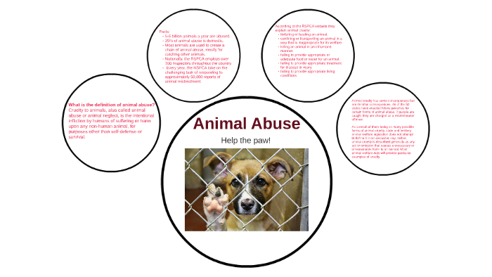 Animal Abuse by Natalie Bellomo