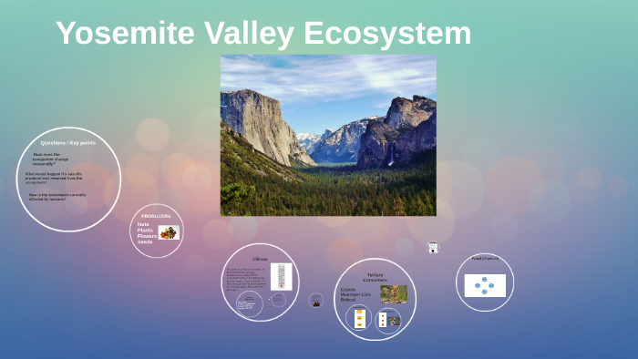 Yosemite Valley Ecosystem by alex mundle on Prezi