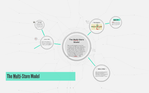 The Multi-Store Model by Lily Stirling on Prezi